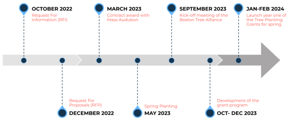 Boston Tree Alliance Program | Boston.gov